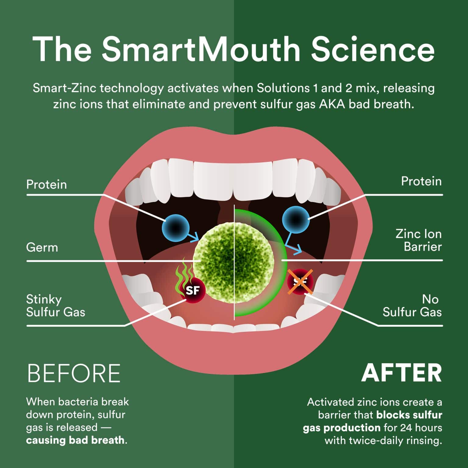 SmartMouth™ Clinical Activated Mouthwash (16oz) - SmartMouth